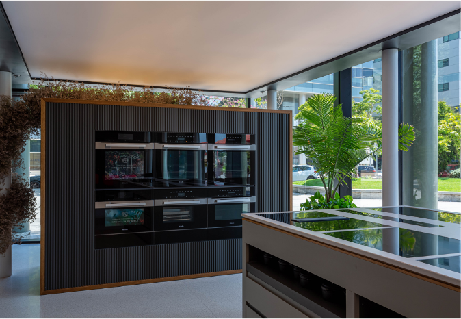 Consumer Electronics Products & Climate Systems – Electra