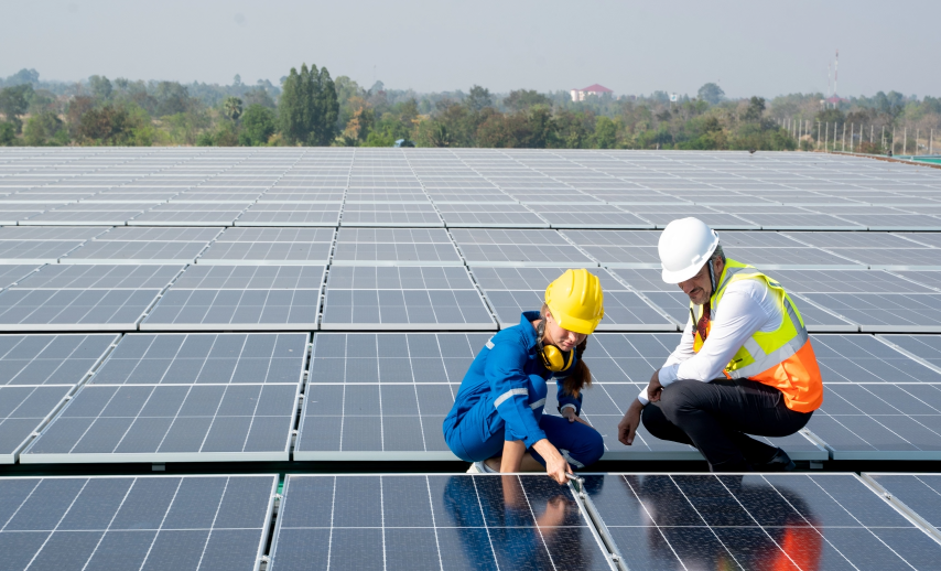 Consumer Electronic Products & Climate Systems – Electra